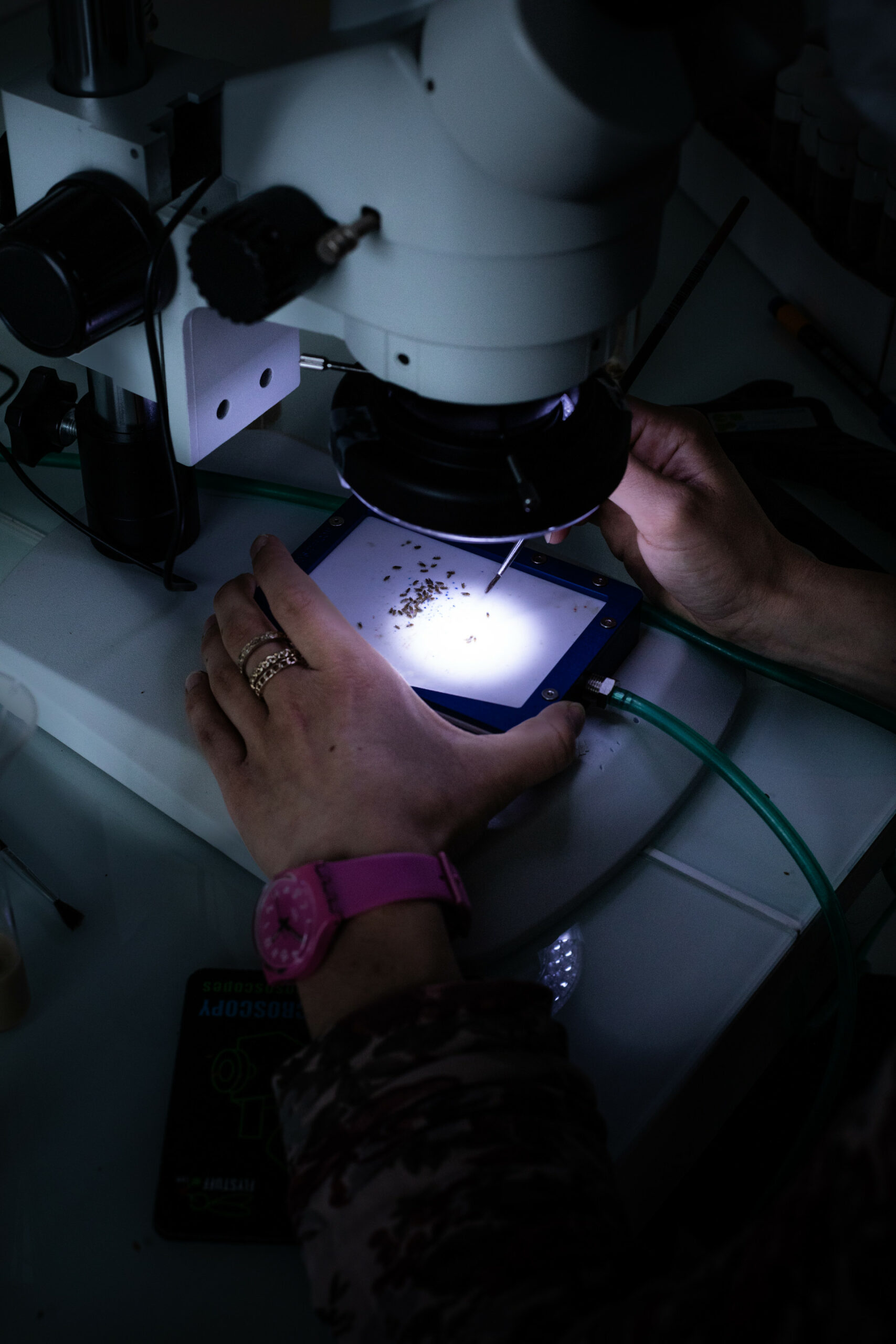 EURIP | Université Paris Cité